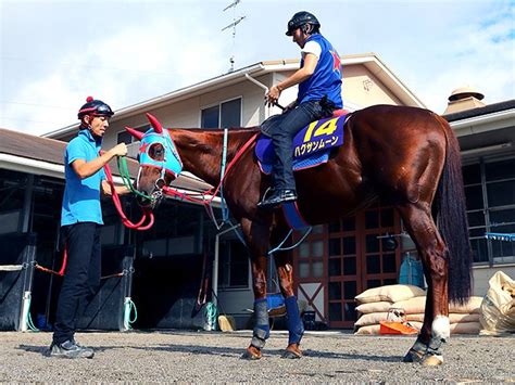 12年ぶり新潟開催のスプリンターズs。混戦の短距離路線、カギは脚質か。 競馬 Number Web ナンバー