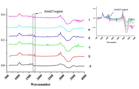 Fourier Transform Infrared Ftir Spectra Of Homogenized Goat Milk