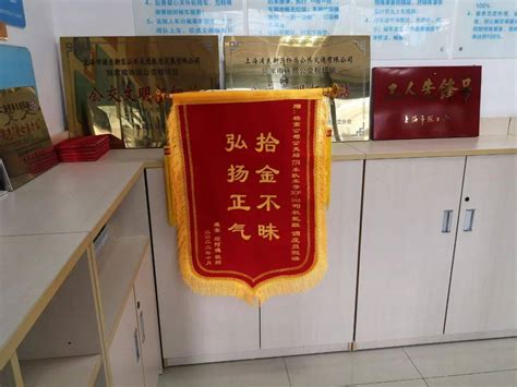 捡到现金代为保管，公交暖心事获乘客点赞阿姨倪琳布袋子