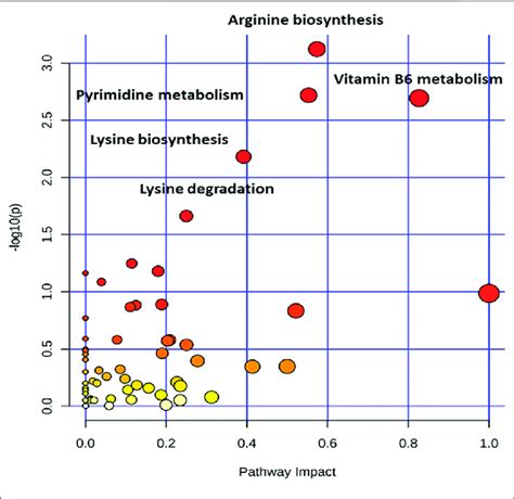 The Pathway Impact Analysis The Metabolic Pathways Were Represented