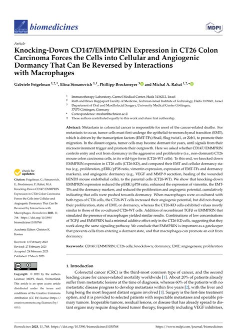 Pdf Knocking Down Cd147emmprin Expression In Ct26 Colon Carcinoma