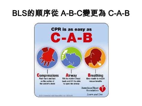 2010 Cpr And Ecc Guidelines