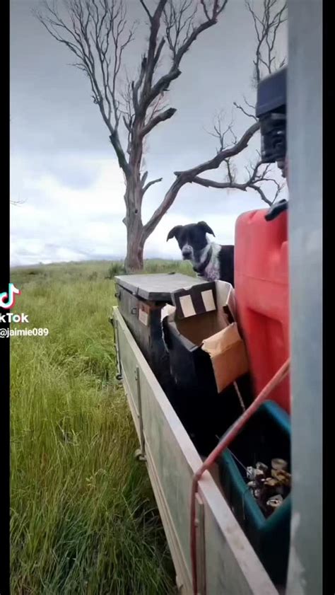 Agri Assist Support Services Agriassist • Instagram Photos And Videos