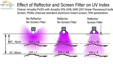 How To Tell If A Uvb Bulb Is Working At Jonathan Stiefel Blog