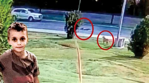 Köpekten Kaçarken öldü