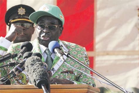 Zimbabwe Elephants News