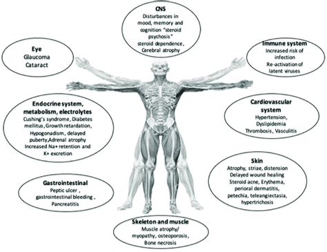 Glucocorticoid Side Effects Ordered By The Affected Organs Download Scientific Diagram
