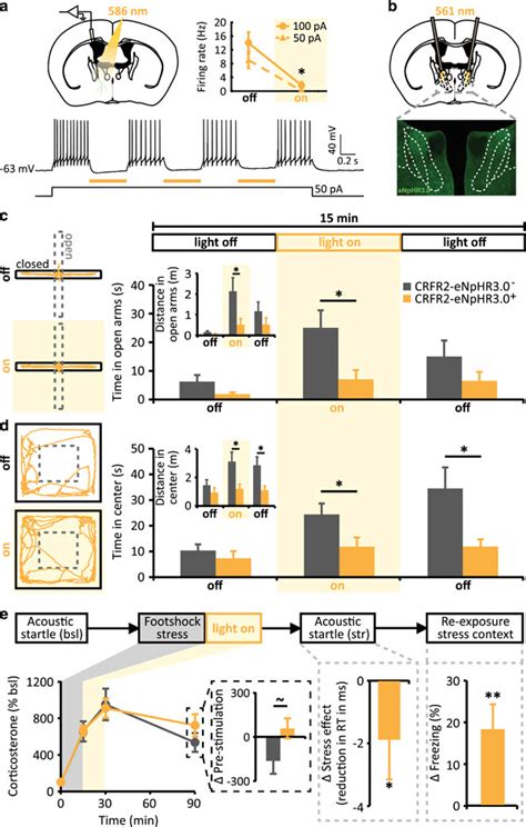 Effects Of Inhibition Of Posterior Bed Nucleus Of The Stria Terminalis