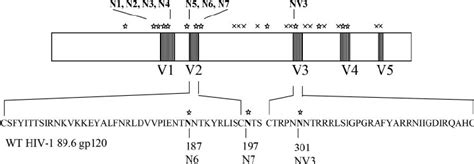 N Linked Glycan Mutants In Hiv 1 Env Potential N Linked Glycosylation