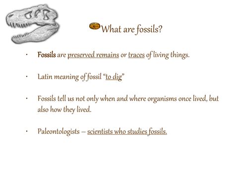 3 Fossils Powerpointppt