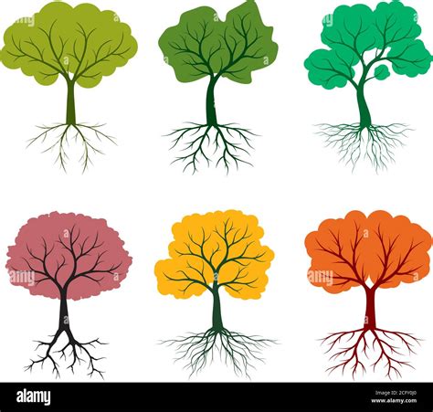 Colour Vector Tree Isolated On White Background Stock Vector Image And Art Alamy