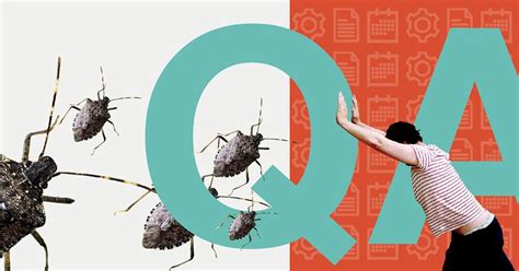 Mikhail Sakharov On Linkedin Qa Testing Ui Api Jira Experience