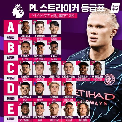 스카이스포츠 손흥민 Epl 스트라이커 A등급에 선정 해외축구 에펨코리아