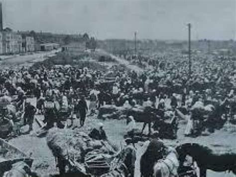 Знаменита Озерка старий цирк та таємничий фонтан Факти з історії однієї вулиці у Дніпрі