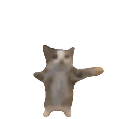 Yipee S
