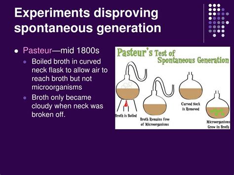 Ppt The History Of Life Powerpoint Presentation Free Download Id