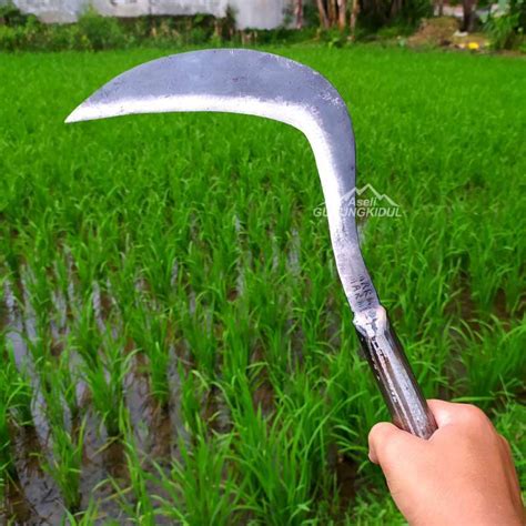 Jual Sabit Arit Gagang Besi Gagang Langsung Di Seller Aseli Gunungkidul
