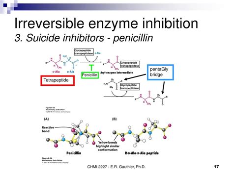 Enzyme Inhibitors Irreversible Inhibitors And Questions For GPAT SSC