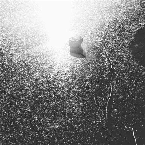 Frozen Photograph By Hillary Raimo Fine Art America