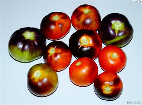 Томат Жаркие угли Сибирский сад - «🍅 Необычные, вкусные, сочные ...