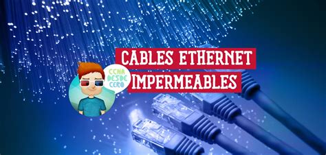 ¿son Impermeables Los Cables Ethernet ¿qué Pasa Si Se Moja
