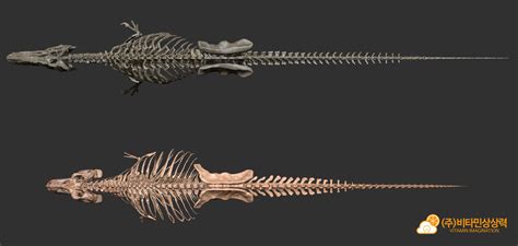 Vitamin Imagination Giganotosaurus And Tyrannosaurus Skeleton By