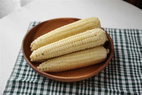 찰옥수수 여름제철 건강간식 옥수수 맛있게 삶는 방법
