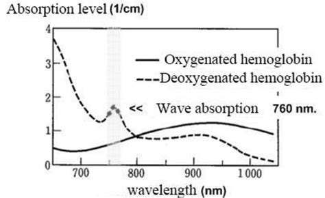 Spectral Absorption Of Deoxygenated Hemoglobin Absorption Level 2