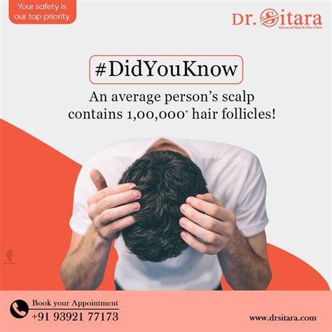 How Many Hairs Are On The Average Human Head
