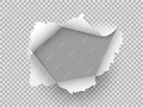종이 현실적인 구멍 투명한 배경의 찢어진 구멍 판지 찢어짐 파열 말린 조각이 있는 손상된 시트 열린 종이 간격 페이지 텍스처 벡터 3d 그림을 찢는 빈 총알