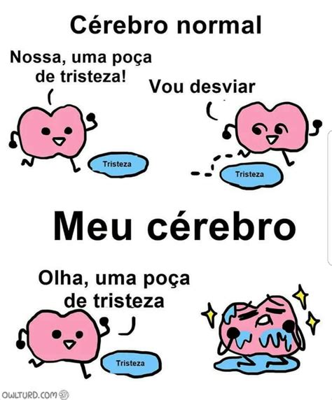 The Best Cerebro Memes Memedroid