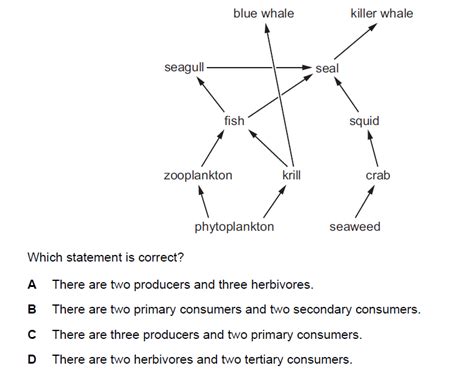 Igcse Biology 0610 192 Food Chains And Food Webs Igcse Style