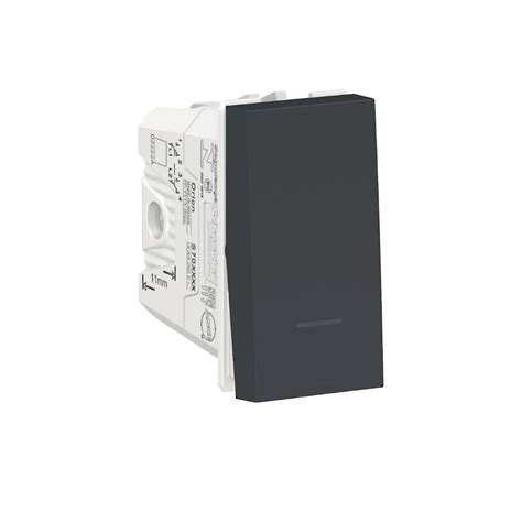 Módulo Interruptor Bipolar Paralelo 10a S70110494 Grafite Orion Schneider Andra