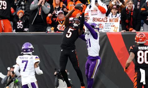 Twitter Freaks Out Over Tee Higgins Unbelievable Touchdown Catch
