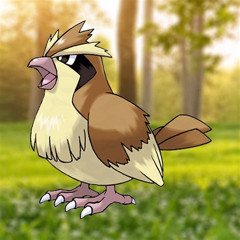 Evolucao Do Pokemon Pidgey