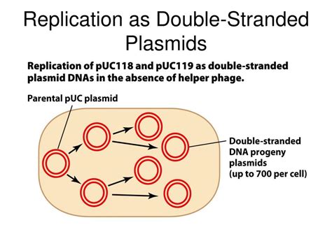 PPT Unit I Lecture 3 B Tech Biotechnology III Year V Th Semester