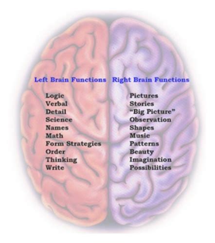 Exam Stroke CVA TIA Flashcards Quizlet
