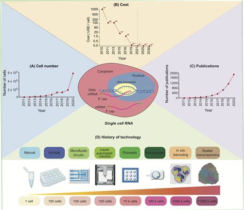 Single Cell Rna Sequencing Evolution And Advancements
