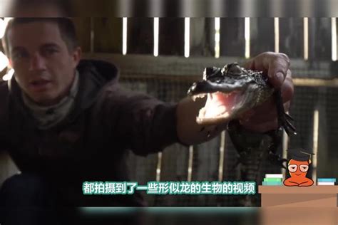 人们拍摄到的四个疑似龙的视频龙的视频人们