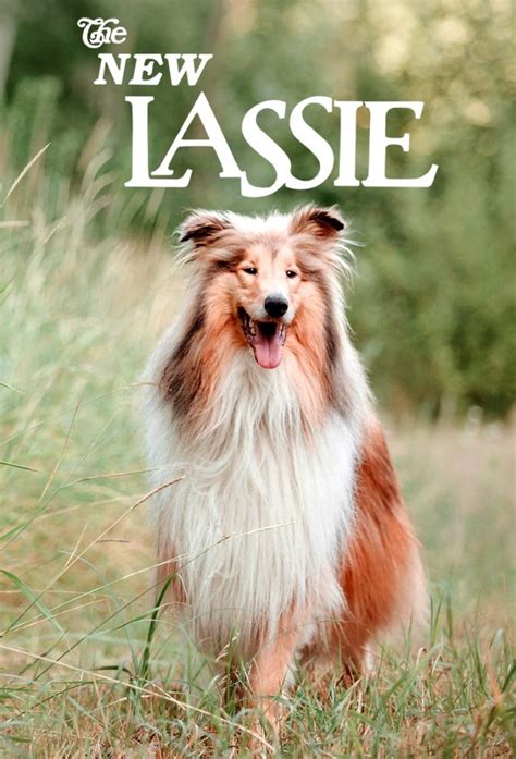 Cast And Crew For The New Lassie Trakt