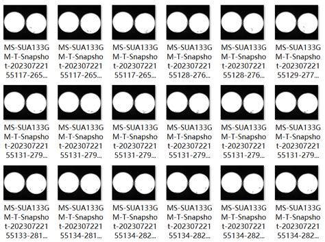 【yolov5deepsort】训练自己的数据集（2） 目标检测and追踪 轨迹绘制deepsort训练自己的数据集 Csdn博客