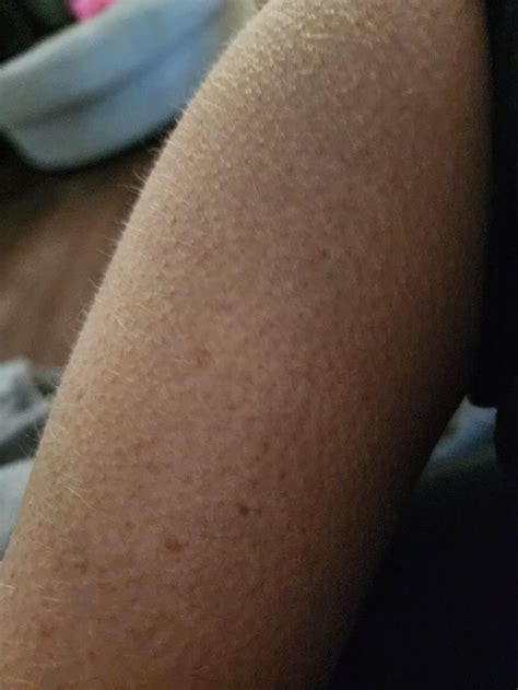 Just Finished Season 1 Ronepieceliveaction