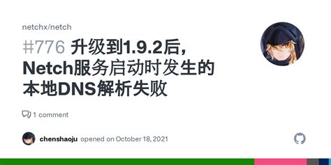 升级到192后，netch服务启动时发生的本地dns解析失败 · Issue 776 · Netchxnetch · Github