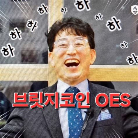 브릿지코인 Oes Youtube