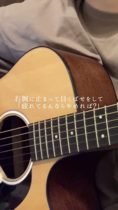 夏の星座にぶらさがって上から花火を見下ろして 花火 Aiko キーは4個下げてるよ Youtube
