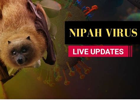 Kerala Nipah Virus Live Updates Mortality Among Infected Very High Says ICMR DG