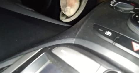 Homeless Dick Video 5