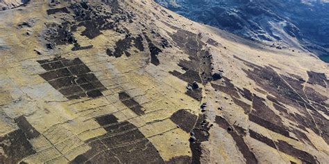 The Evolution Of Starch Digestion In Early Humans