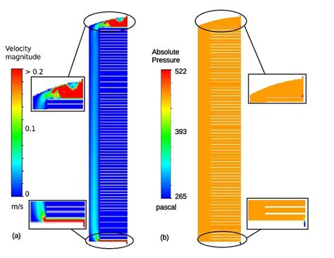 Computational Fluid Dynamics Cfd Species Transport Profiles At A