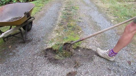 How To Remove Grass From Gravel Driveway Step By Step Guide
